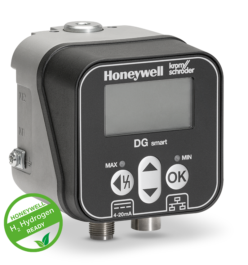 Gas pressure sensors DGS (EN)